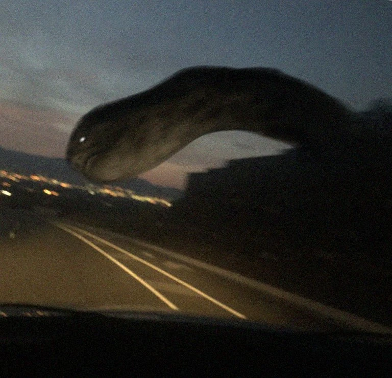 The Highway Worm | Trevor Henderson Wiki | Fandom