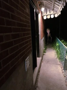 User blog:SharkPuppet108/Forgotten Baby but it's Fan Made Images ...