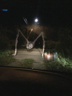 Country Road Creature | Trevor Henderson Inspiration Wiki | Fandom