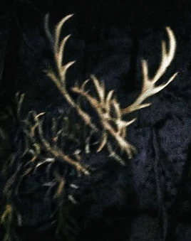 The Clatter | Trevor Henderson Wiki | Fandom