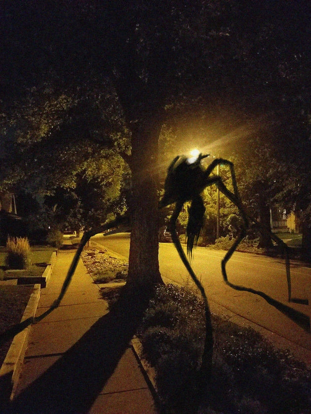 Wolf-spider-horse hybrid | Тревор хендерсон вики Вики | Fandom