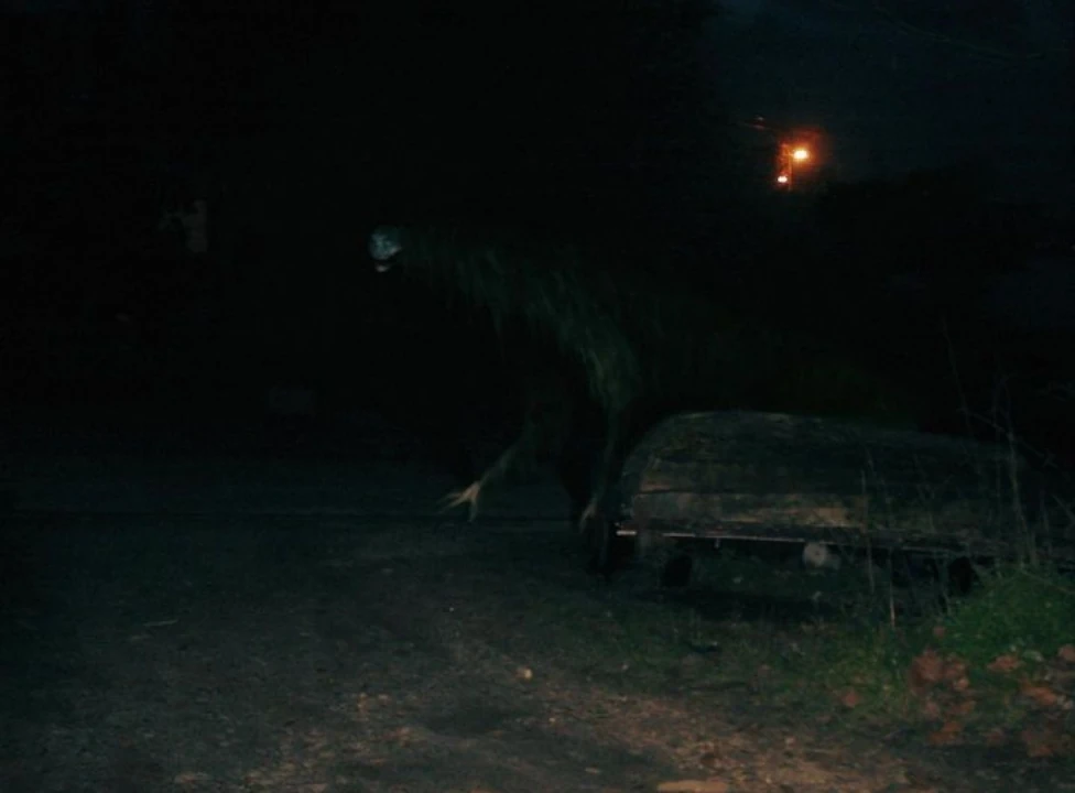 Night swamp monster | Тревор хендерсон вики Вики | Fandom