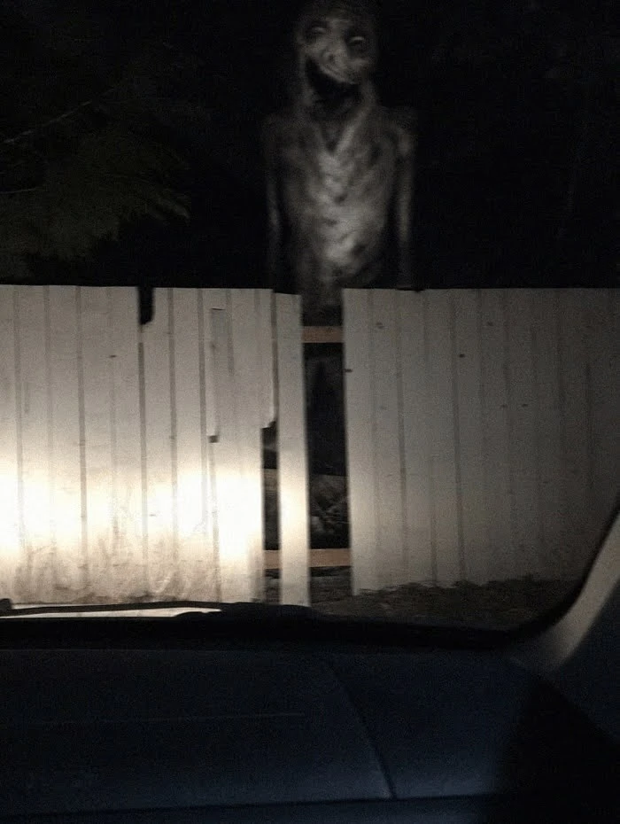 Fence Observer | Тревор хендерсон вики Вики | Fandom