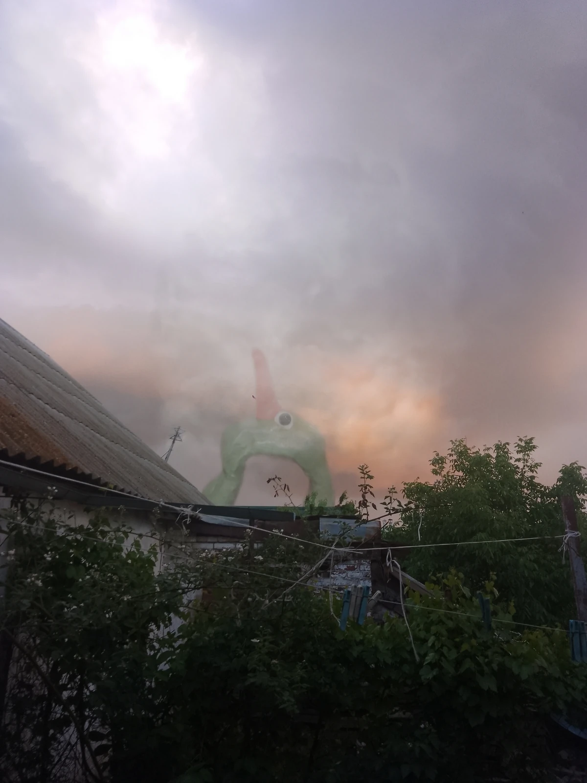 Bird | Тревор хендерсон вики Вики | Fandom