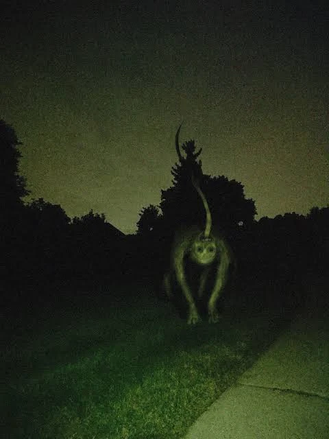 Night Dog | Trevor Wiki | Fandom
