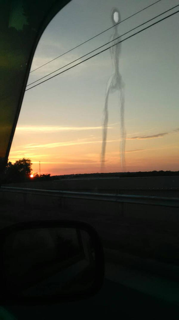 The Sunset Tower | Trevor Henderson Fanon Wiki | Fandom