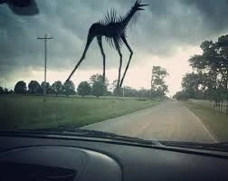 Country Giant | Trevor Henderson Fanon Wiki | Fandom