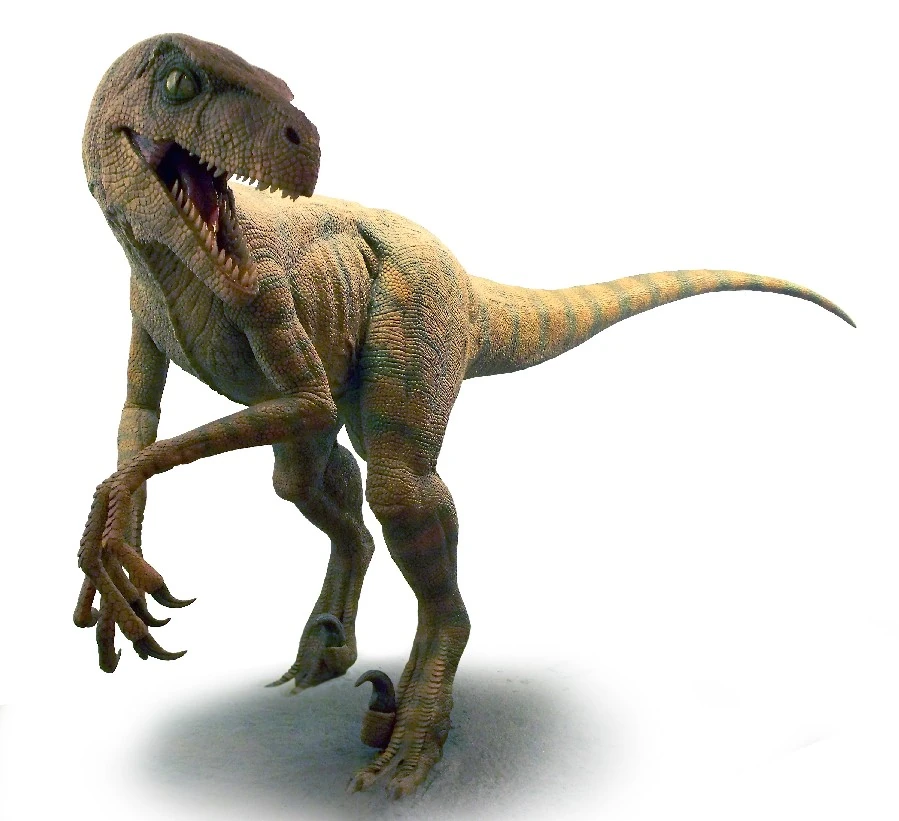 Raptors | T-Rex Ranch Wiki | Fandom