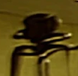 The Lifeform | Trialbound Wiki | Fandom