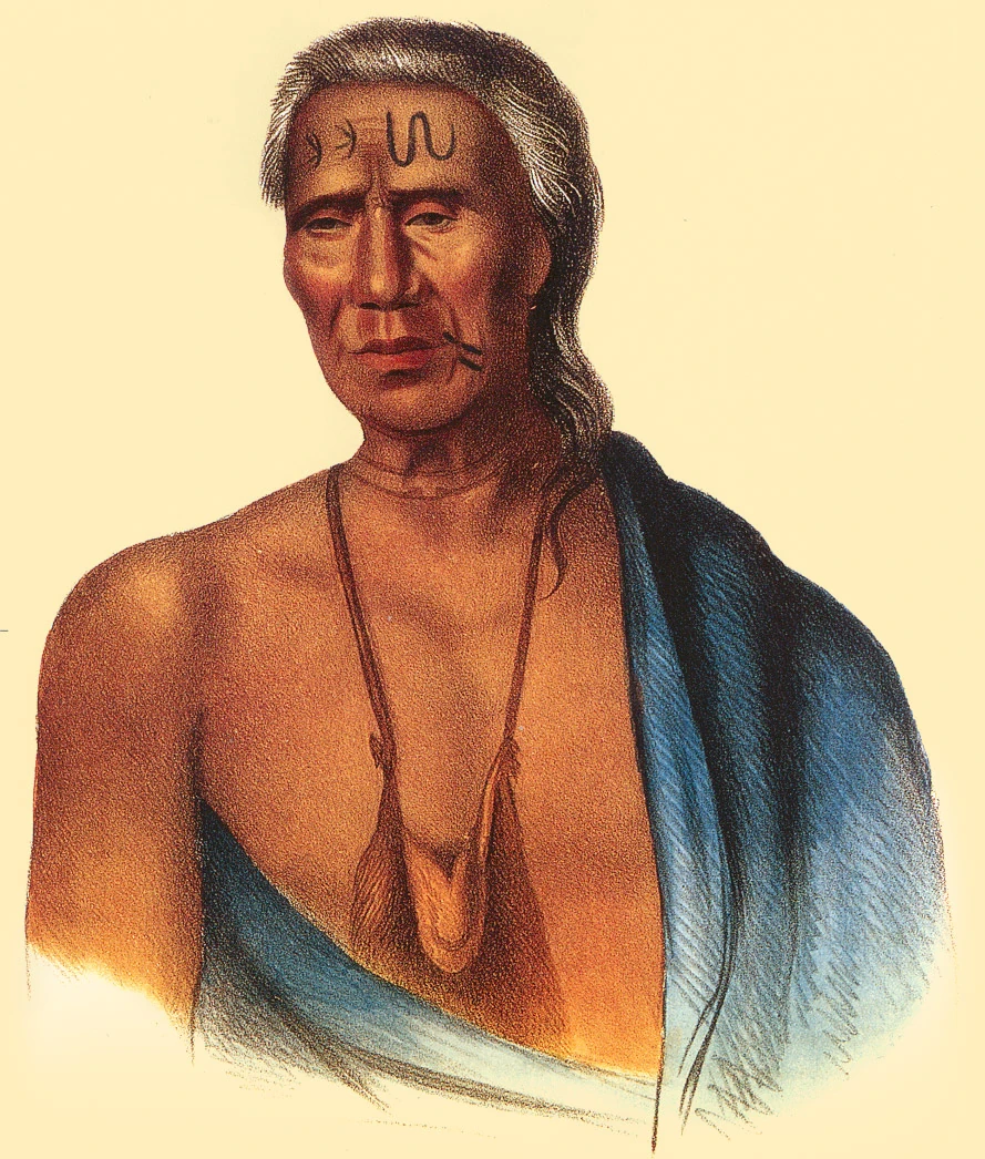 Munsee | Natives Wiki | Fandom