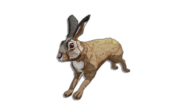 Hare - Official Tribes of Midgard Wiki