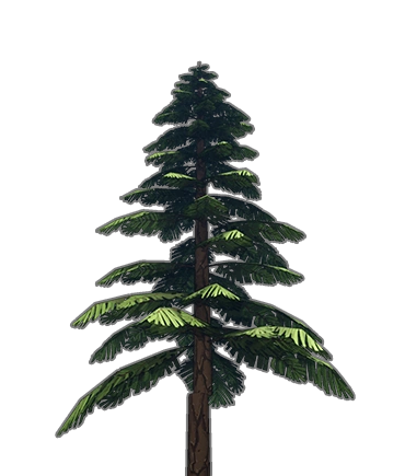 Spruce Tree - Official Tribes of Midgard Wiki