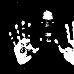 Tribetwelve The Device