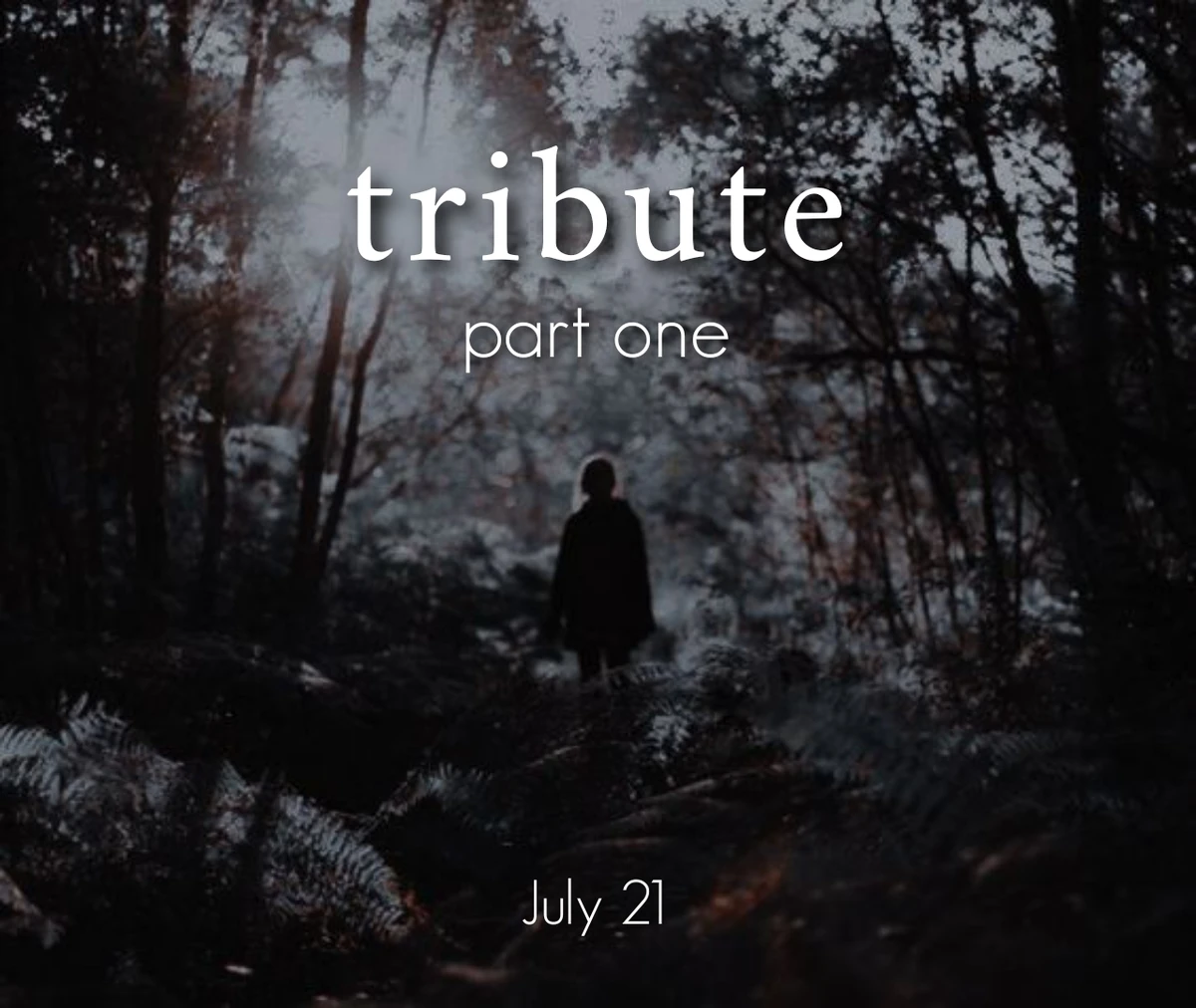Tribute, Part 1 | Tribute Fanfiction Wiki | Fandom