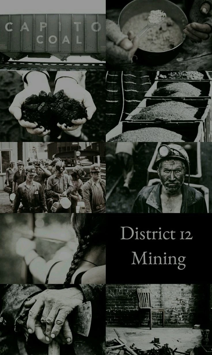 District 12 | Tribute Fanfiction Wiki | Fandom