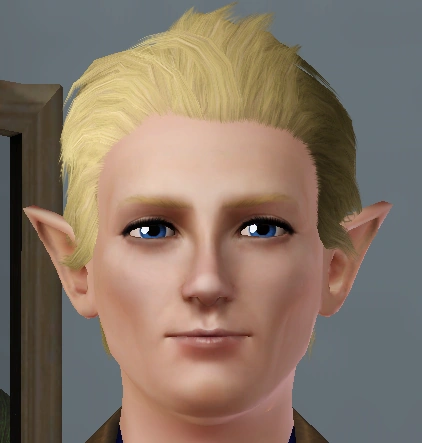 Calix | Zelda RPG Wiki | Fandom