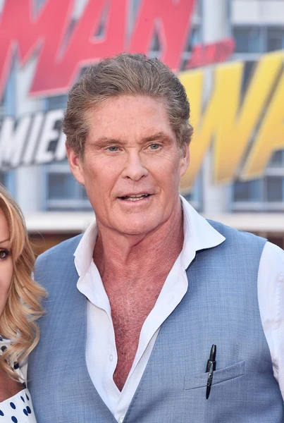 David Hasselhoff | Trilith Studios Wiki | Fandom