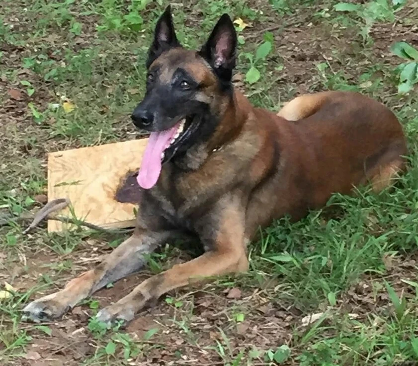 Seven | Trilith Studios Wiki | Fandom