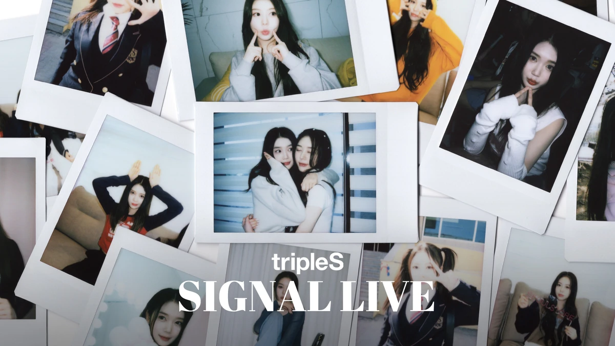 Live SIGNAL 71 | tripleS Wiki | Fandom