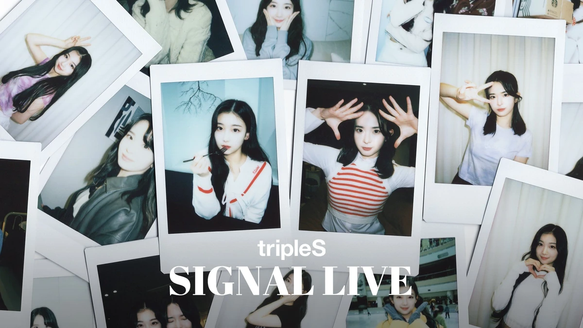 Live SIGNAL 66 | tripleS Wiki | Fandom