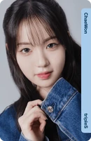 Kim ChaeWon/Gallery/Objekts | tripleS Wiki | Fandom