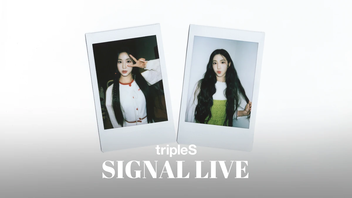 Live SIGNAL 63 | tripleS Wiki | Fandom