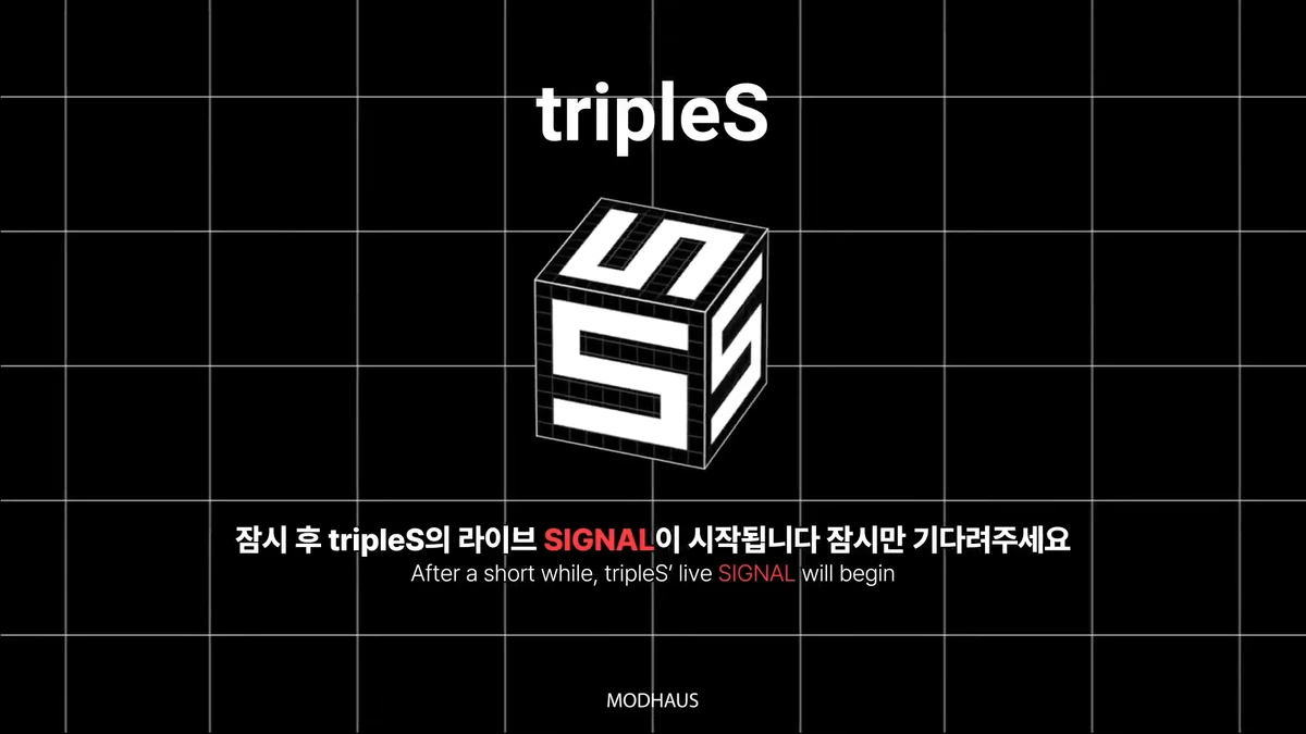 Live SIGNAL | tripleS Wiki | Fandom