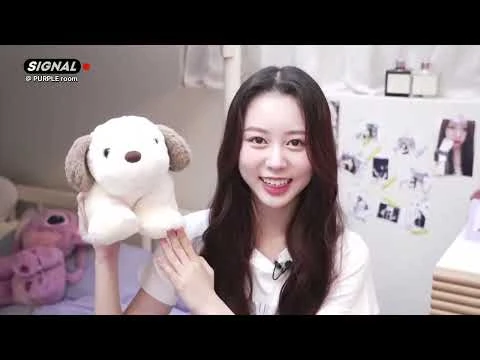 Live SIGNAL 16 | tripleS Wiki | Fandom