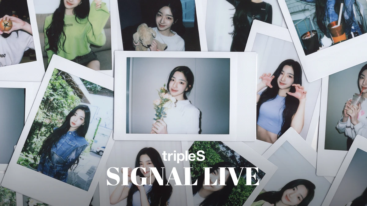Live SIGNAL 68 | tripleS Wiki | Fandom