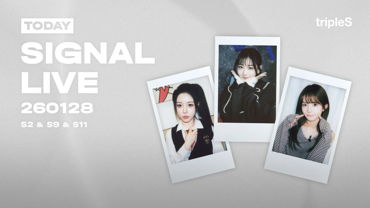 Live SIGNAL 262 | tripleS Wiki | Fandom
