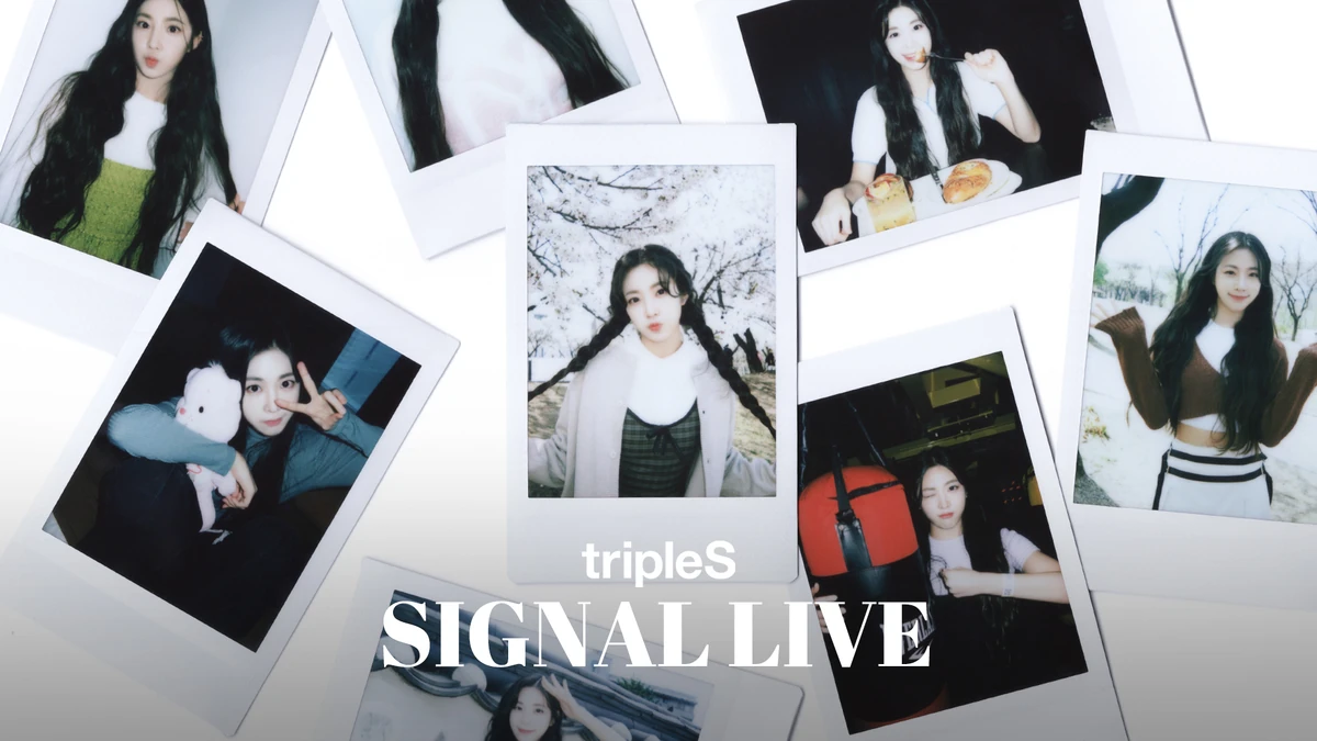 Live SIGNAL 73 | tripleS Wiki | Fandom