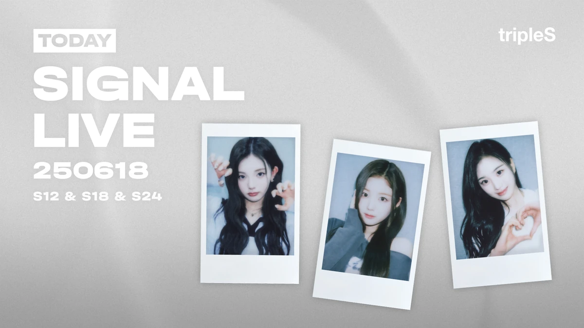 Live SIGNAL 226 | tripleS Wiki | Fandom