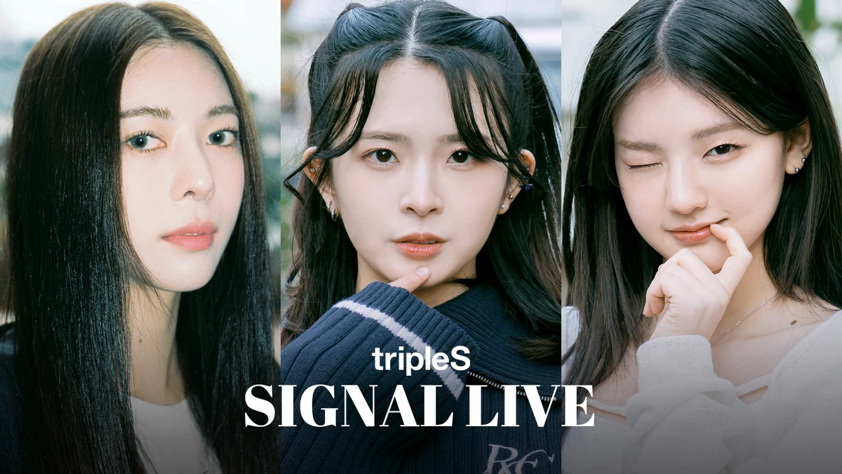 Live SIGNAL 59 | tripleS Wiki | Fandom
