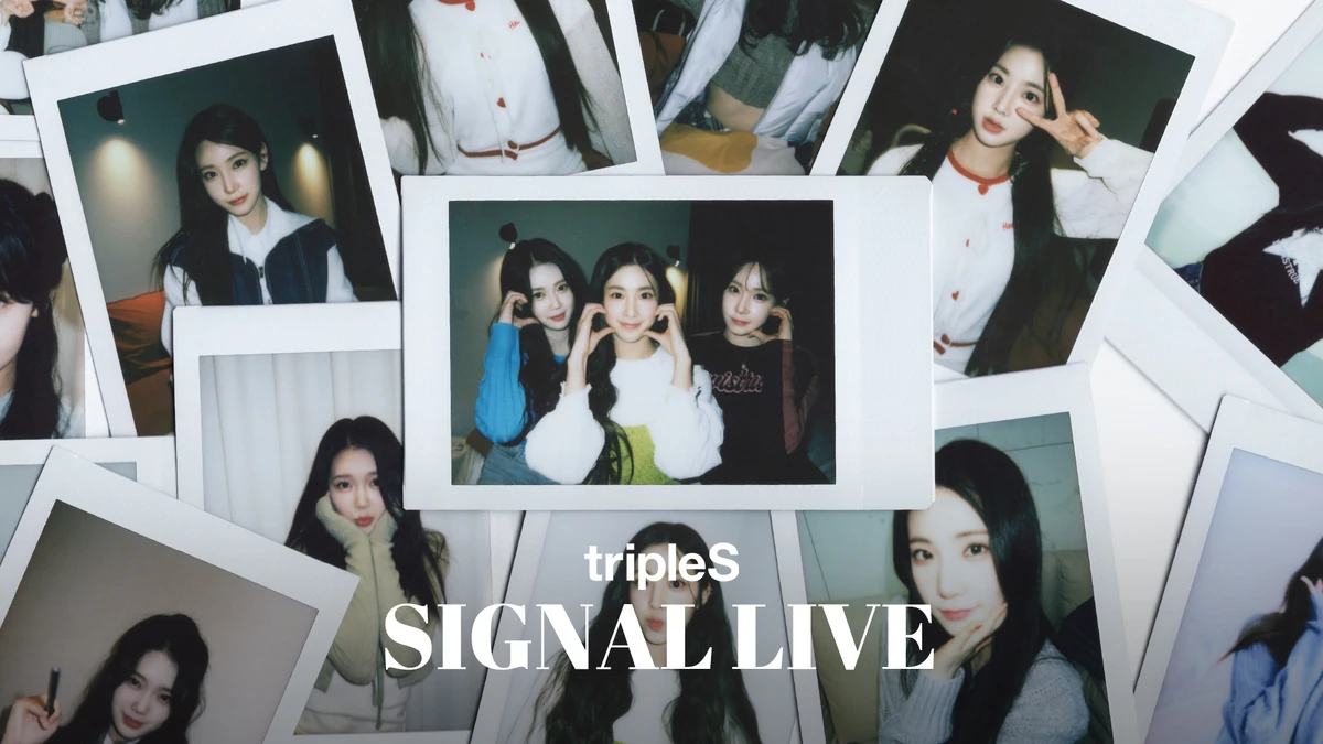 Live SIGNAL 64 | tripleS Wiki | Fandom