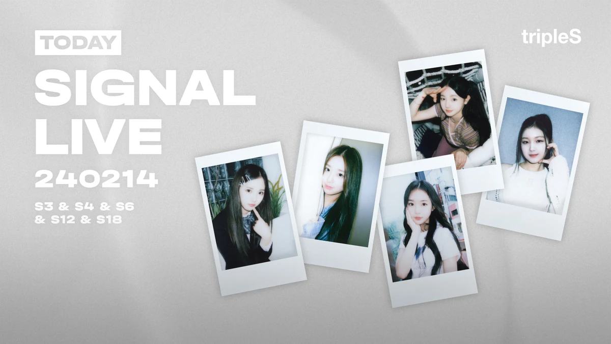 Live SIGNAL 117 | tripleS Wiki | Fandom