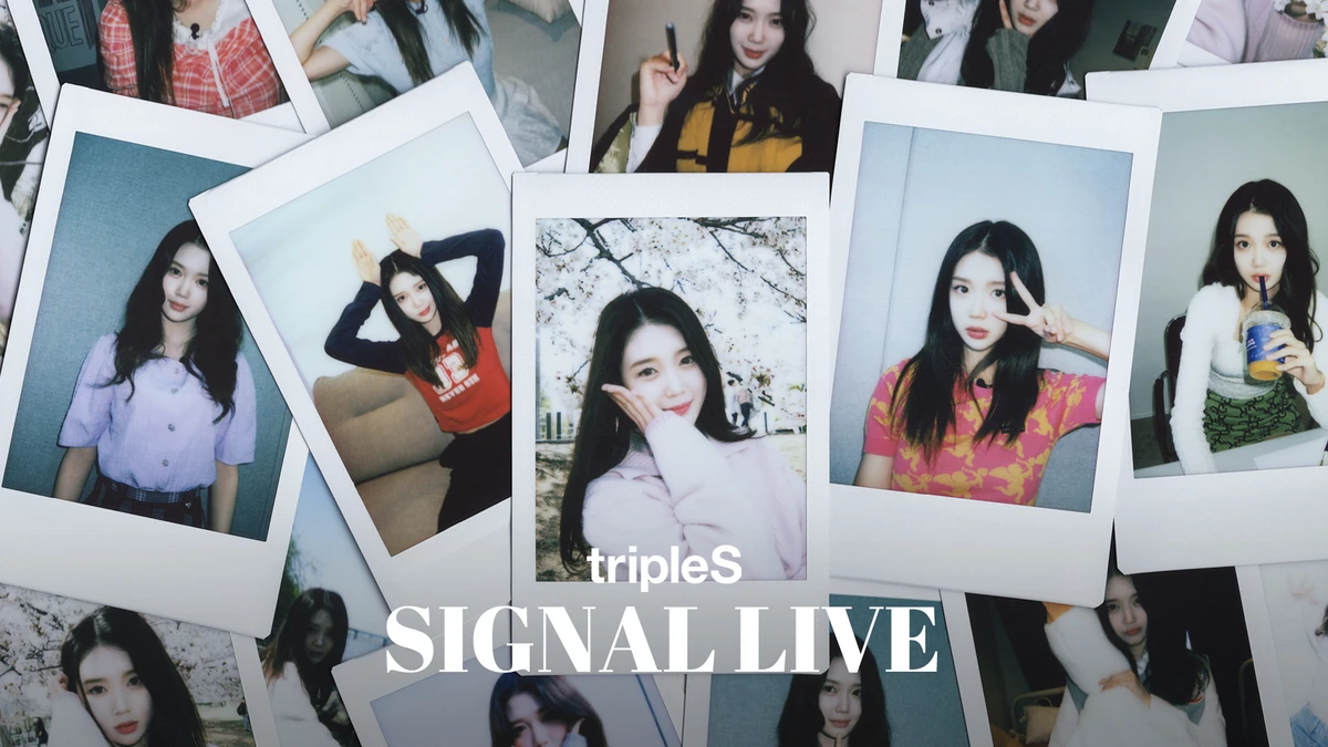 Live SIGNAL 69 | tripleS Wiki | Fandom