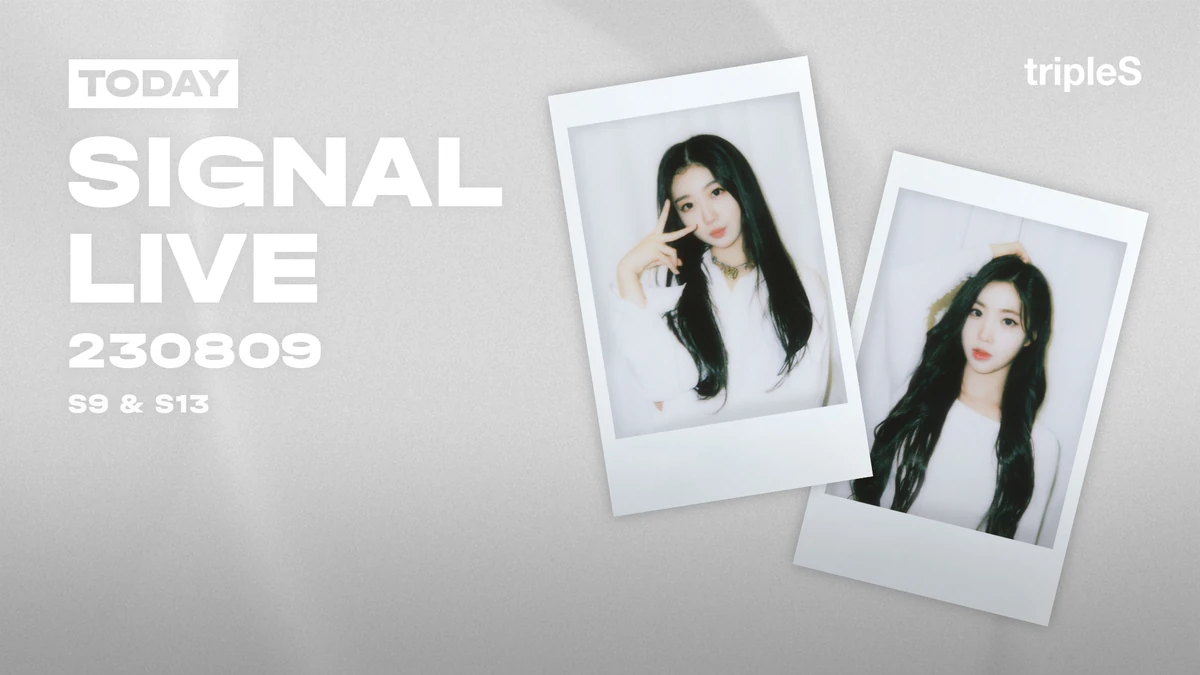 Live SIGNAL 86 | tripleS Wiki | Fandom