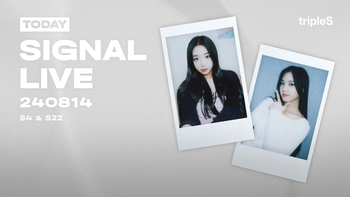 Live SIGNAL 164 | tripleS Wiki | Fandom