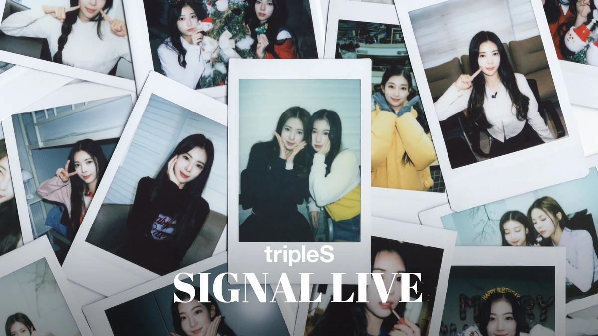 Live SIGNAL 62 | tripleS Wiki | Fandom