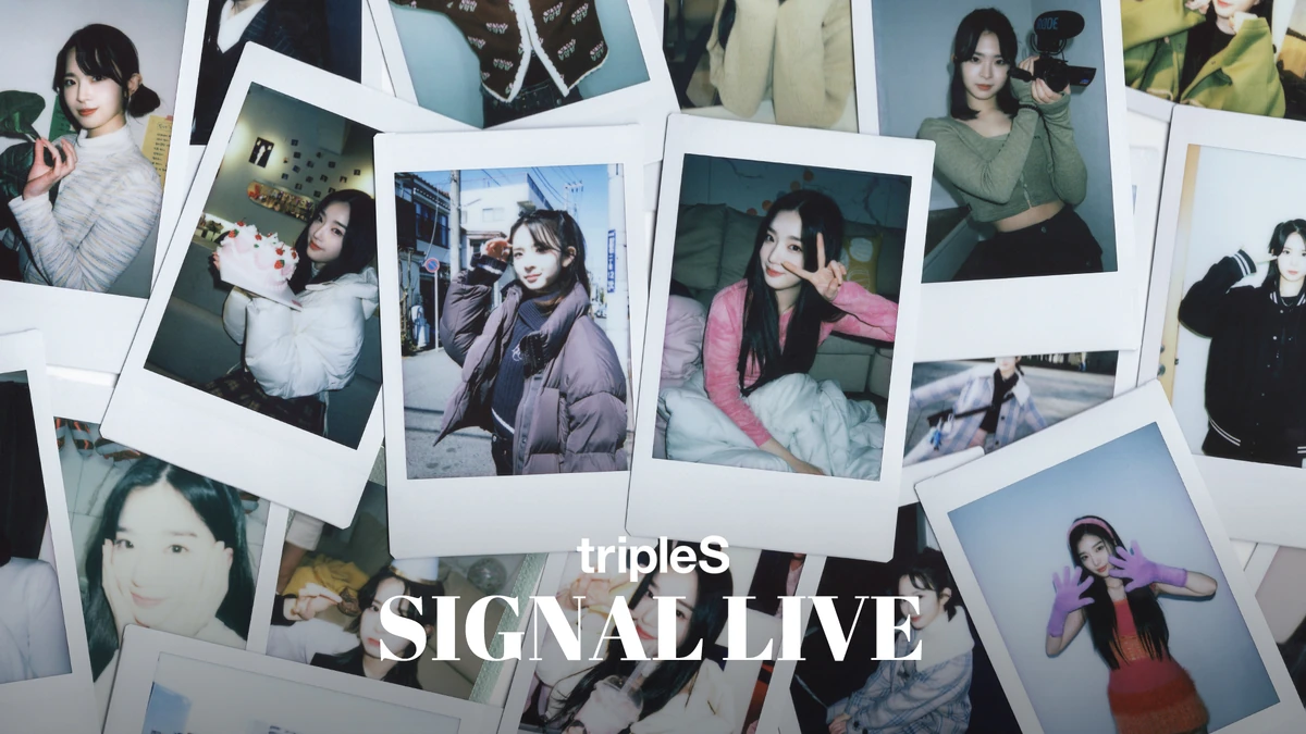 Live SIGNAL 60 | tripleS Wiki | Fandom