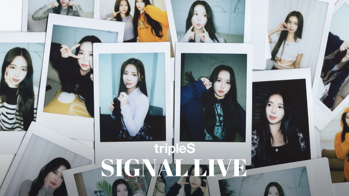 Live SIGNAL 65 | tripleS Wiki | Fandom