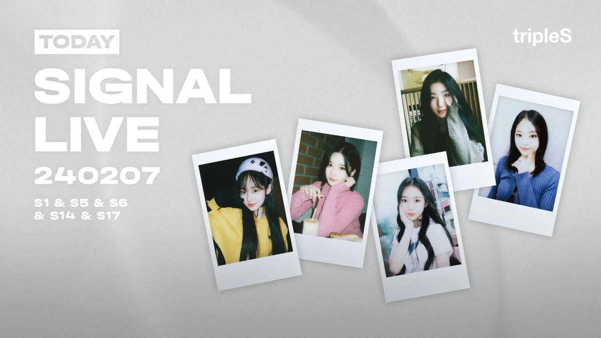 Live SIGNAL 116 | tripleS Wiki | Fandom