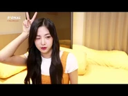 Live SIGNAL 73 | tripleS Wiki | Fandom