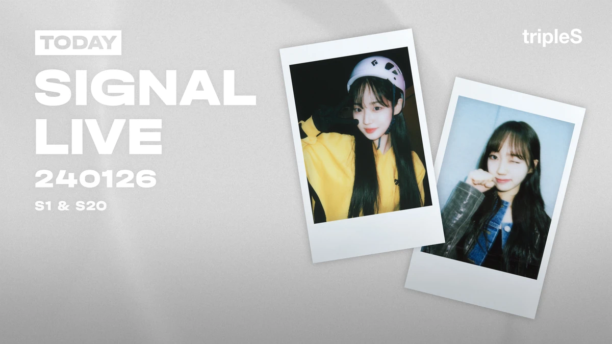 Live SIGNAL 115 | tripleS Wiki | Fandom