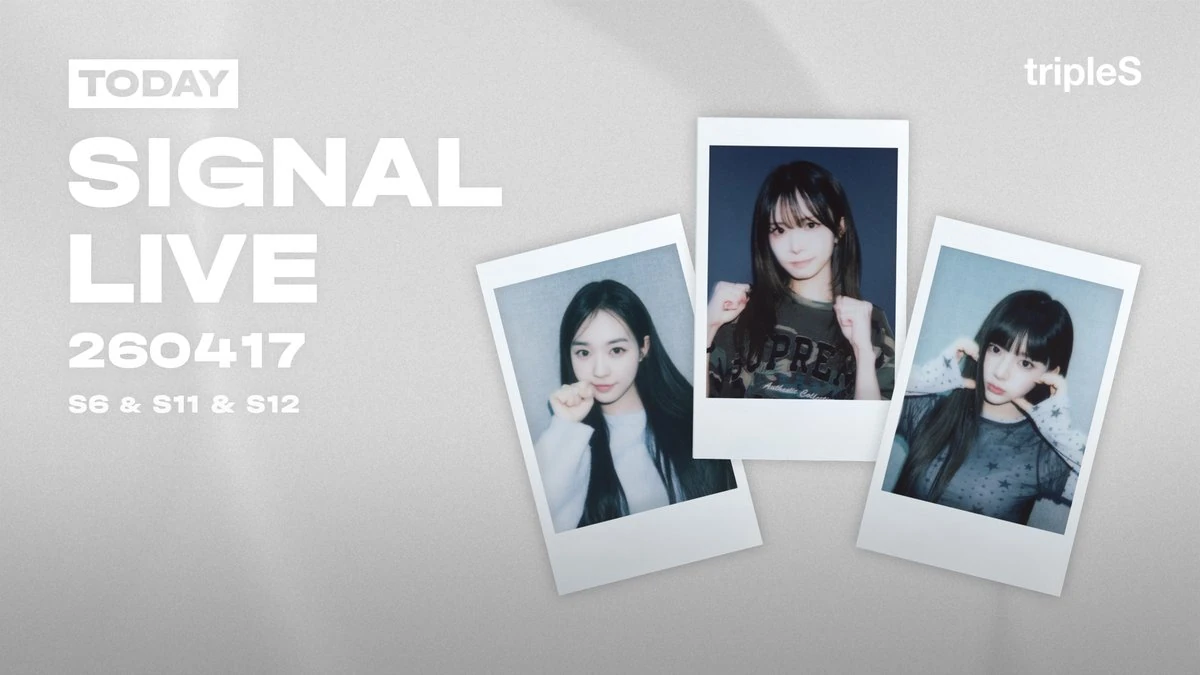 Live SIGNAL 276 | tripleS Wiki | Fandom