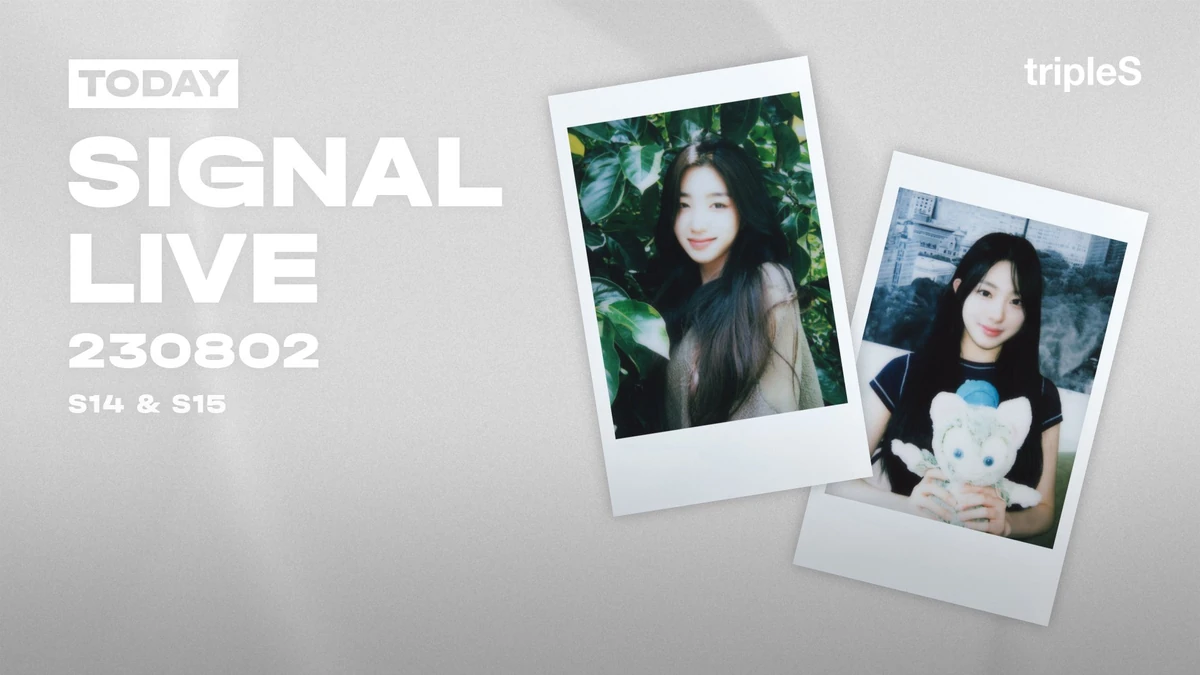 Live SIGNAL 85 | tripleS Wiki | Fandom