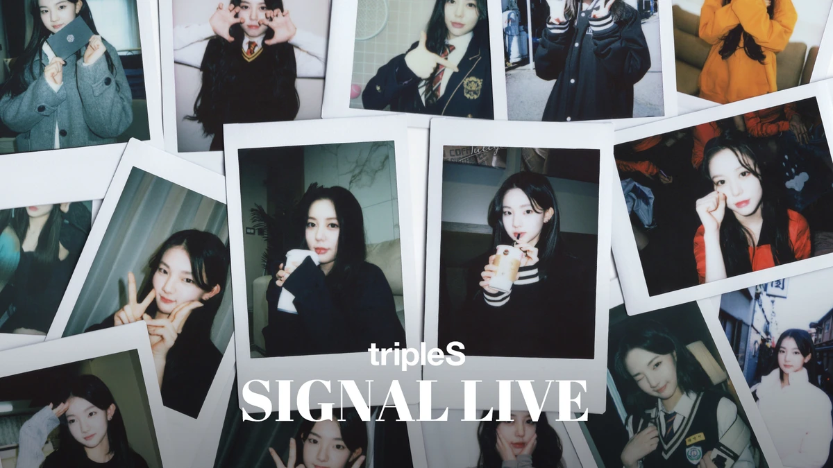 Live SIGNAL 61 | tripleS Wiki | Fandom