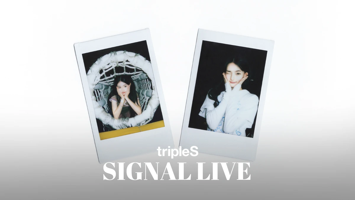 Live SIGNAL 72 | tripleS Wiki | Fandom