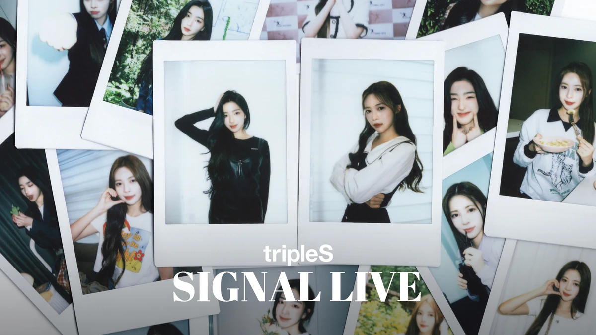 Live SIGNAL 70 | tripleS Wiki | Fandom