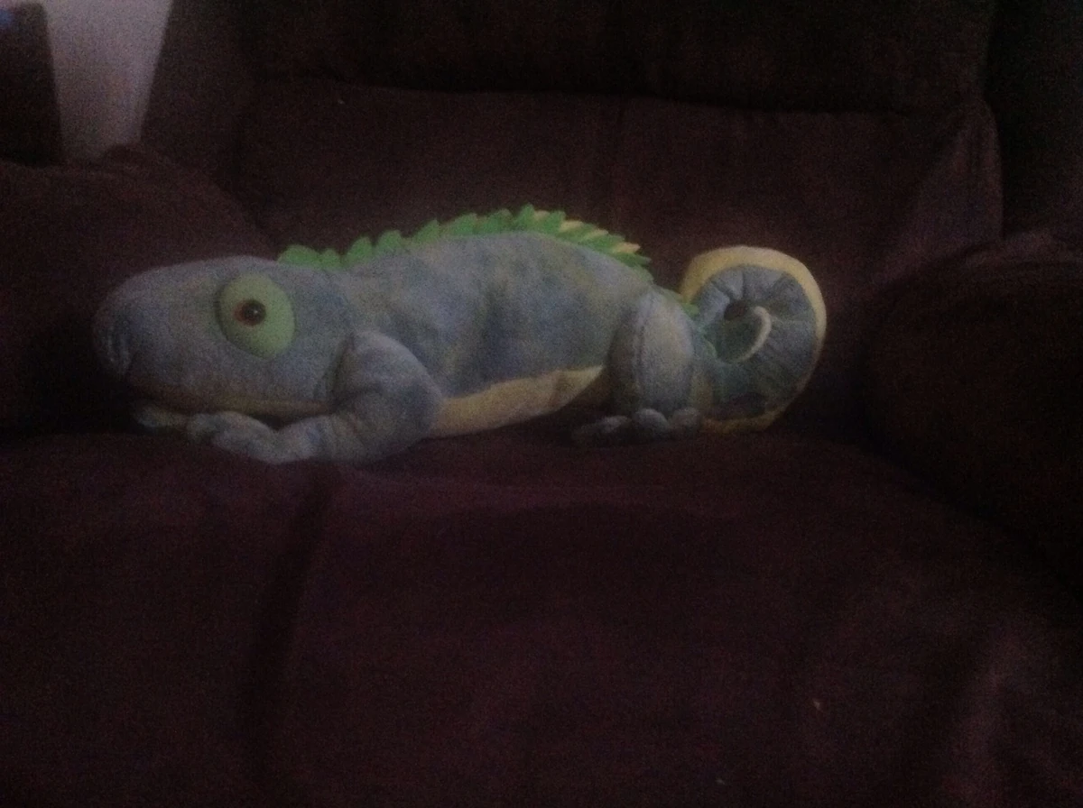 Ziggy | Tristan's movie Wikia | Fandom